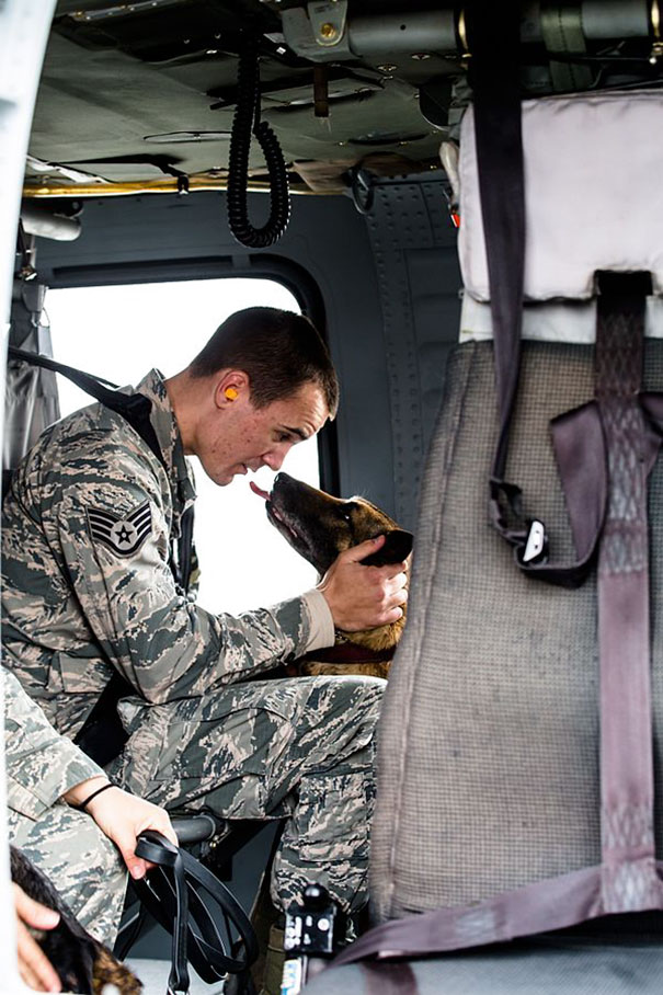 10 fotos que capturan los momentos más leales de los perros de servicio