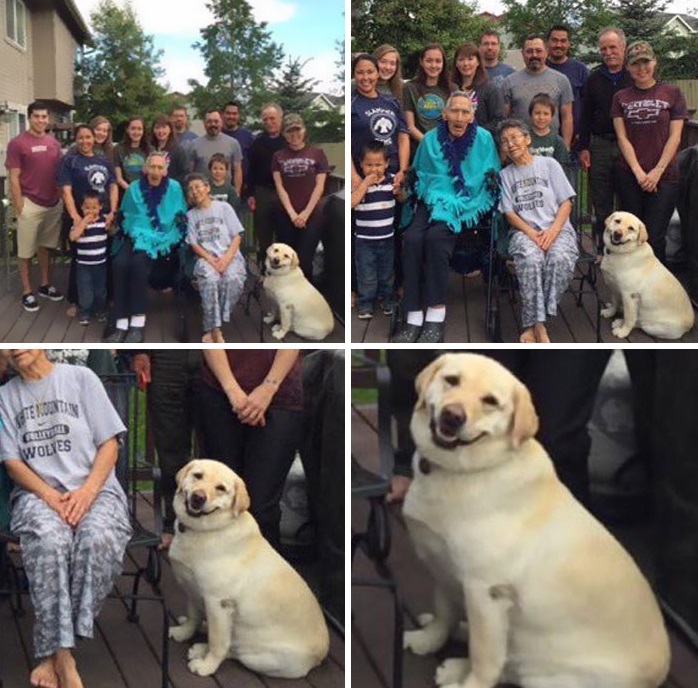 Descubre las 10 fotos más felices de animales... ¡Te conquistarán!