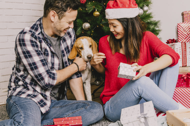 Las mejores ideas de Regalos de Navidad para mascotas