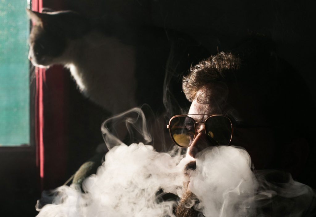 El humo del cigarro afecta a las mascotas | Wakyma