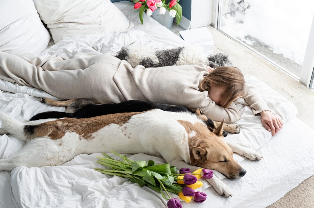 Posturas de descanso en perros: ¿qué significan? | Wakyma