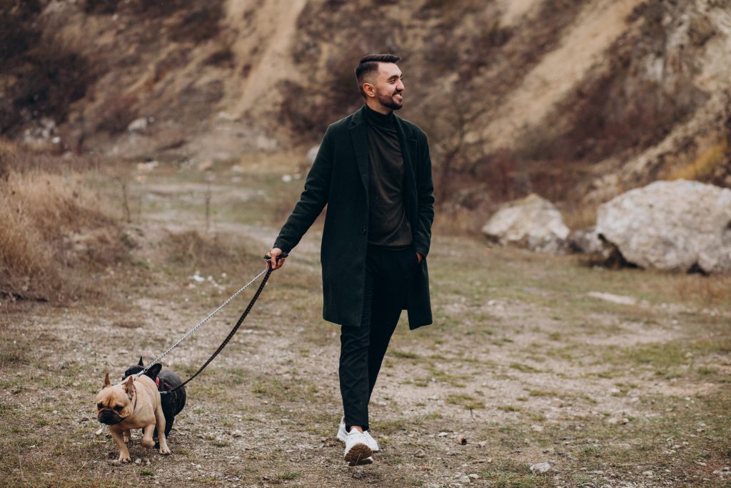 ¿Cuántas veces tengo que sacar a pasear al perro?