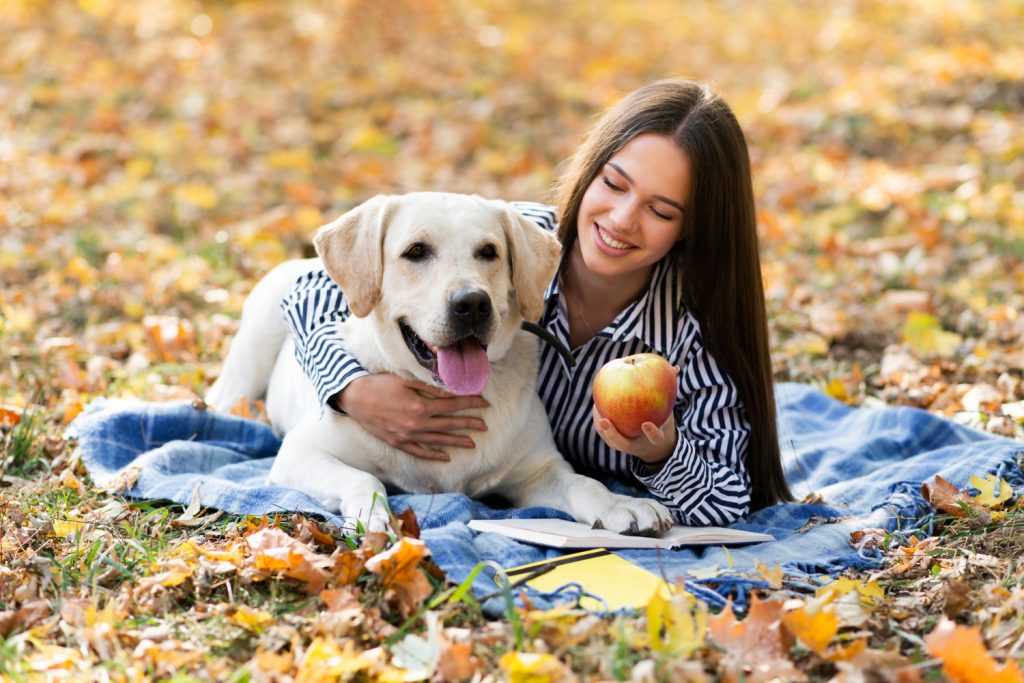 ¿Los perros pueden comer mango? Conoce la respuesta