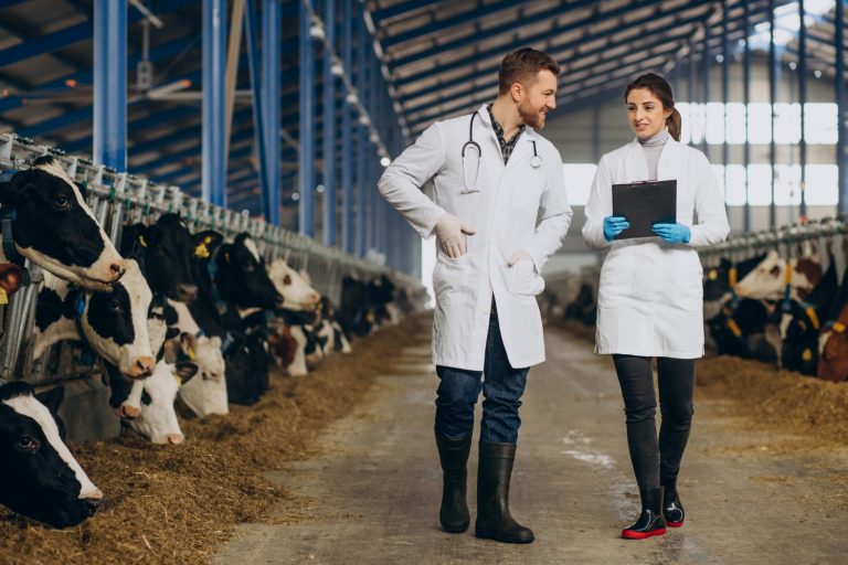 ¿Cuáles son las actividades que realiza un veterinario?