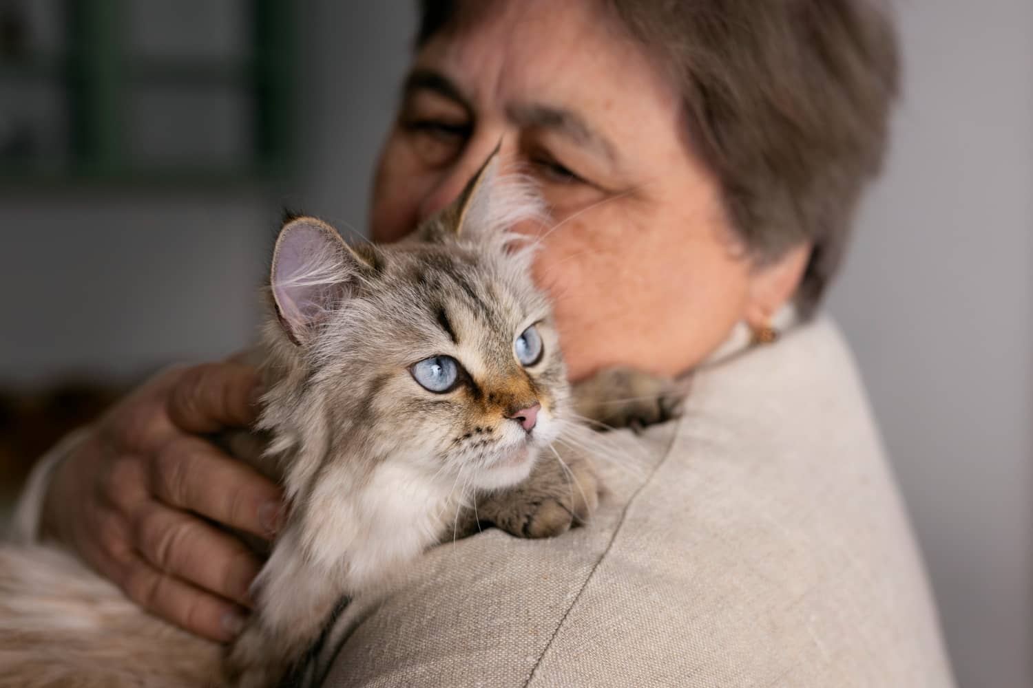 7 beneficios de tener un gato como mascota