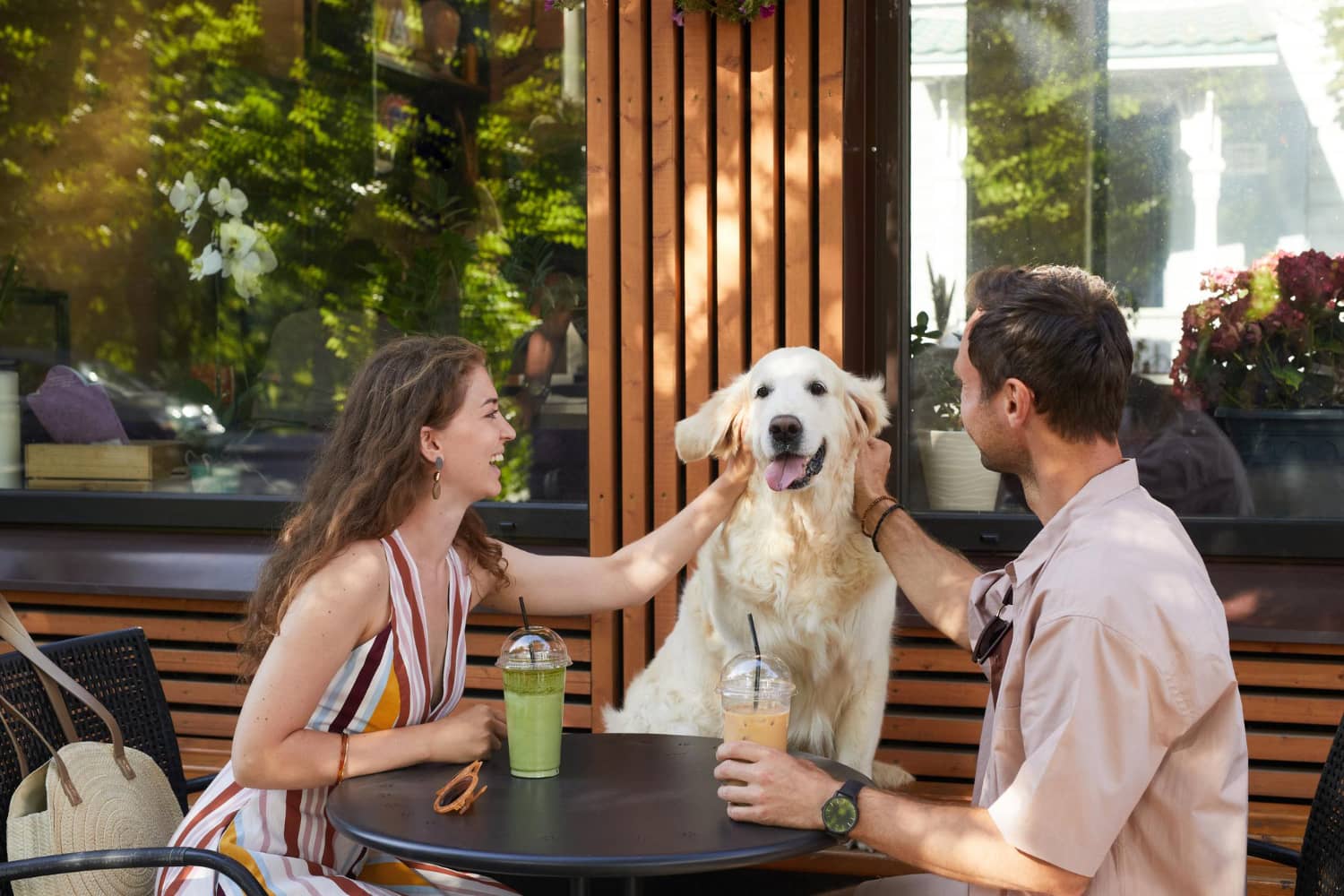 Cómo ser un restaurante dog friendly: tips básicos