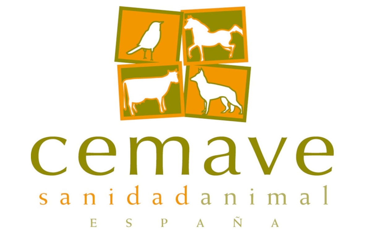 Prueba ya Wakyma | El software mejor valorado por los veterinarios